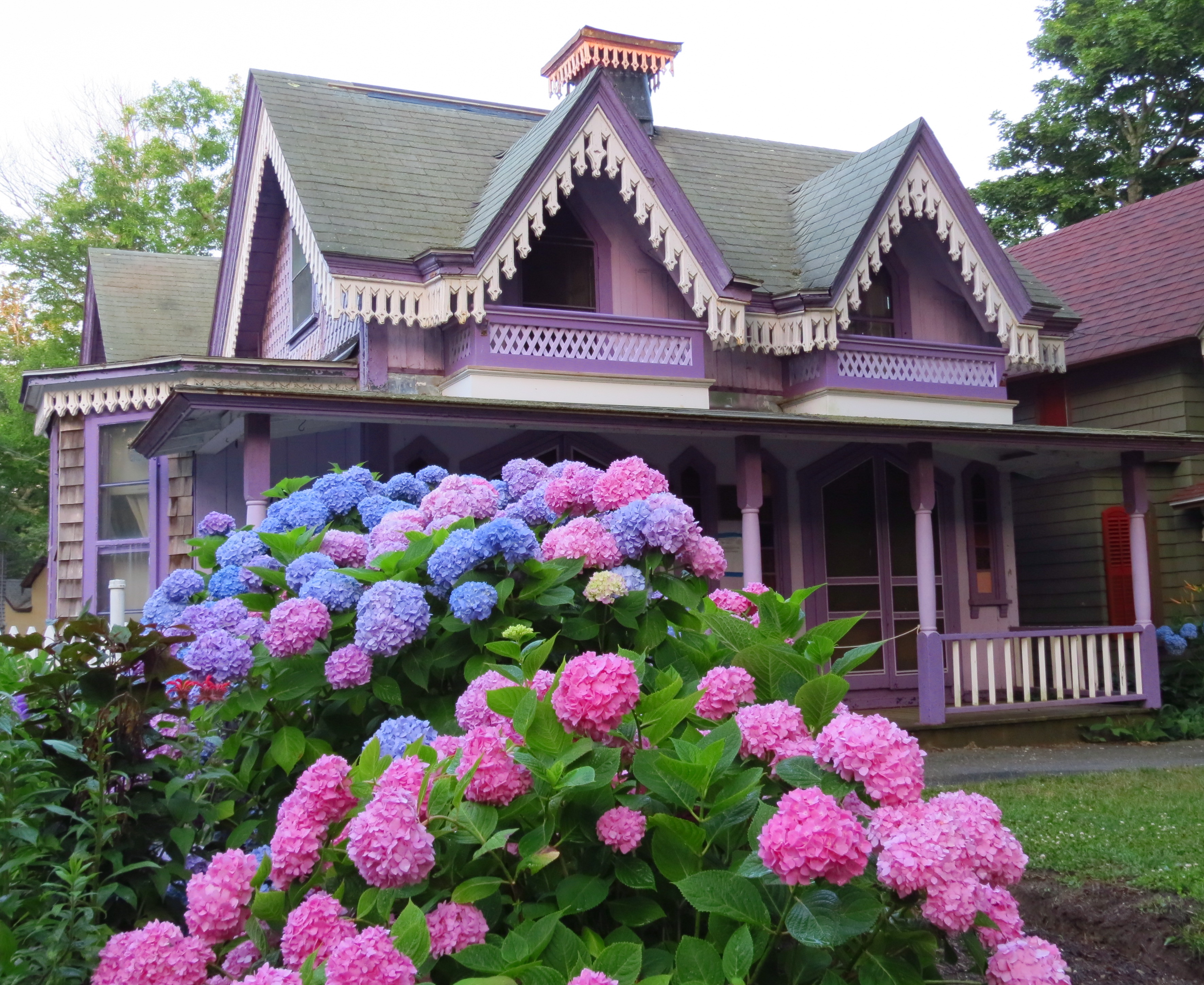 Our Purpose – Cottage Owners Association