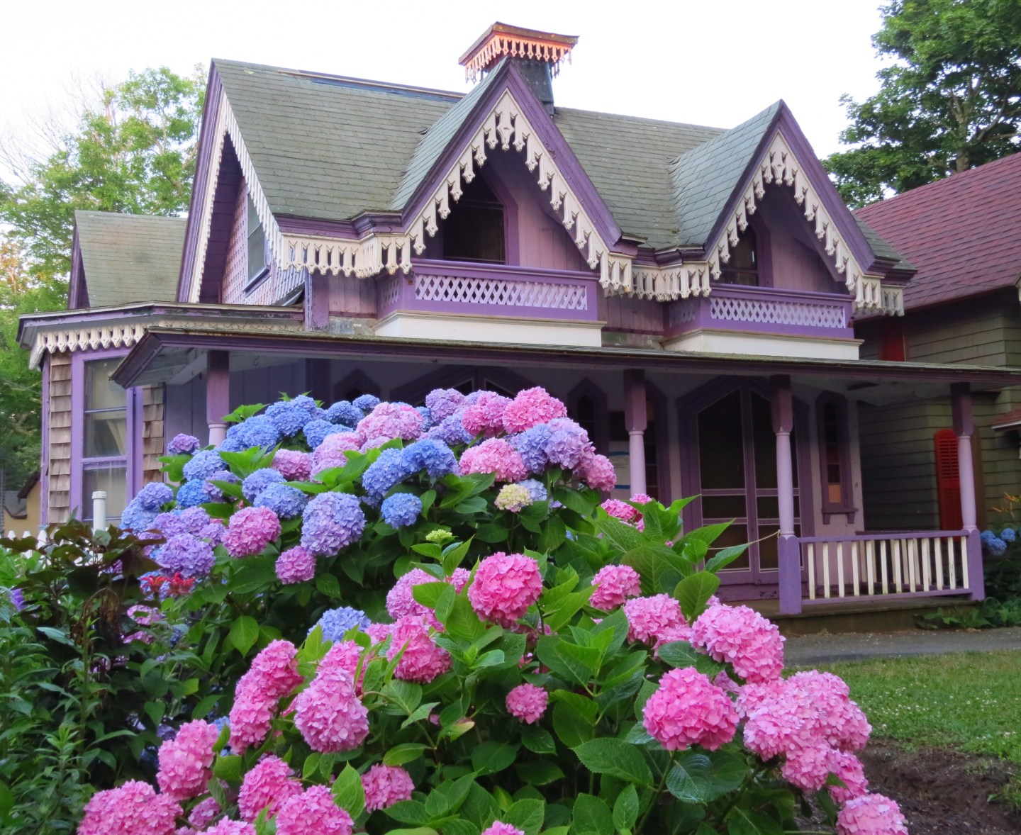 Our Purpose – Cottage Owners Association